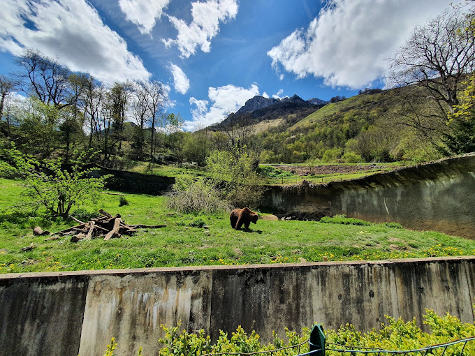 Les infos pratiques de votre parc pédagogique - PARC'OURS